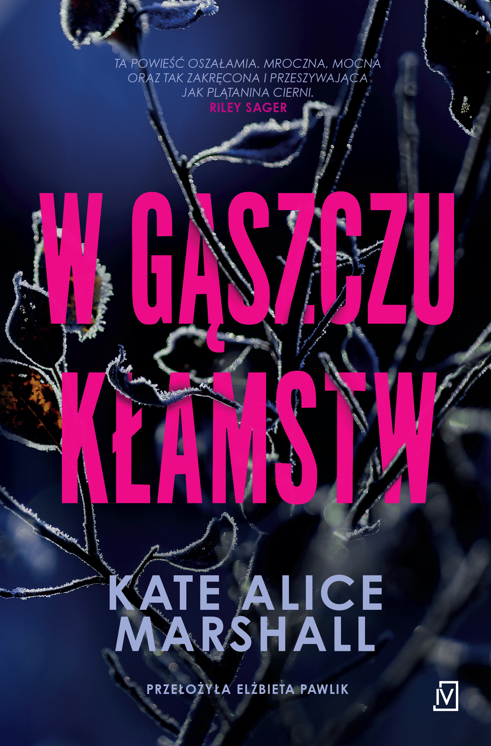 W gąszczu kłamstw - Kate Alice Marshall | Księgarnia Wydaje nam się